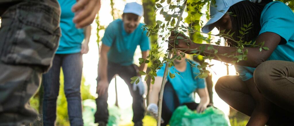 Environmental Fundraising Software for Donor Management